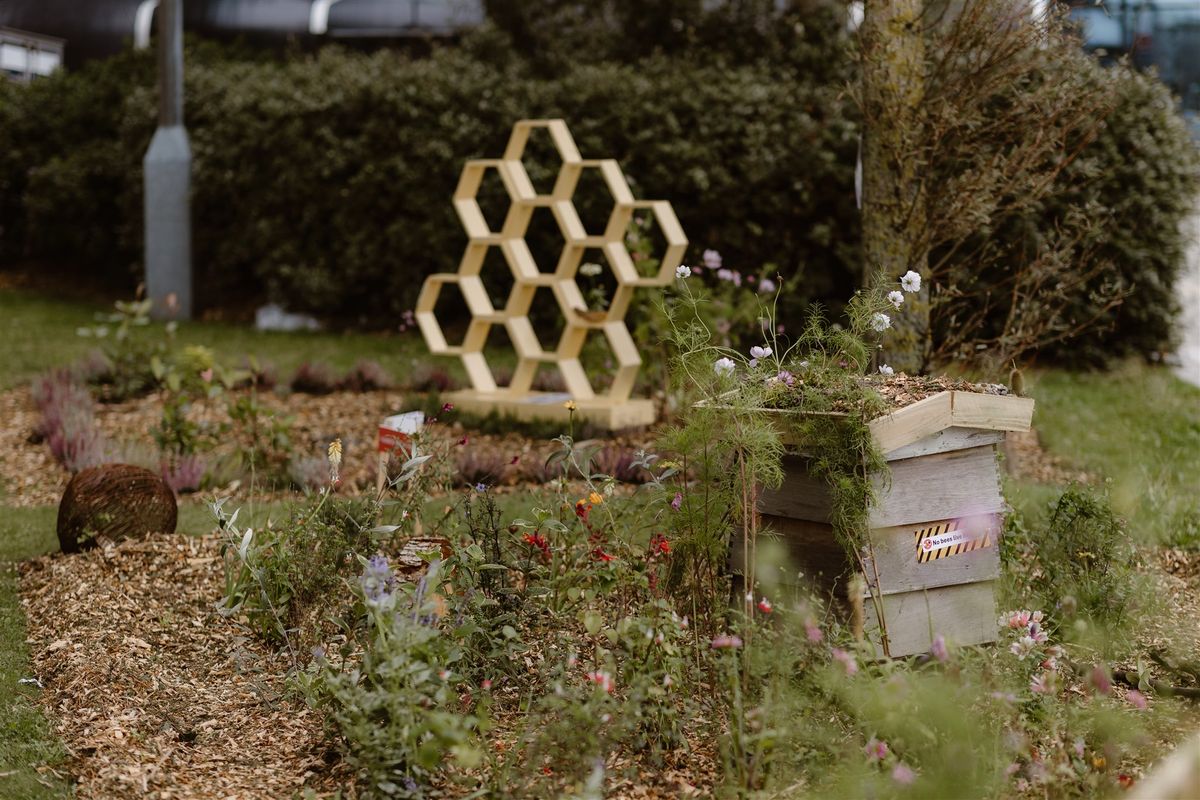 ACC Liverpool creates a buzz with sustainability initiatives ...