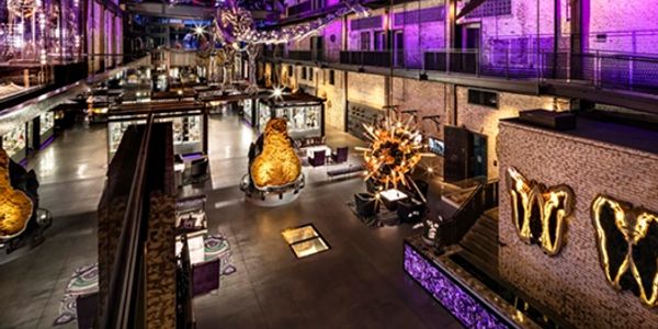 creativity plus highgate