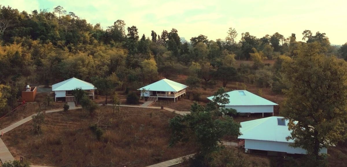 Why IHCL said ‘timing’ was right to acquire Tree of Life | Hotel ...