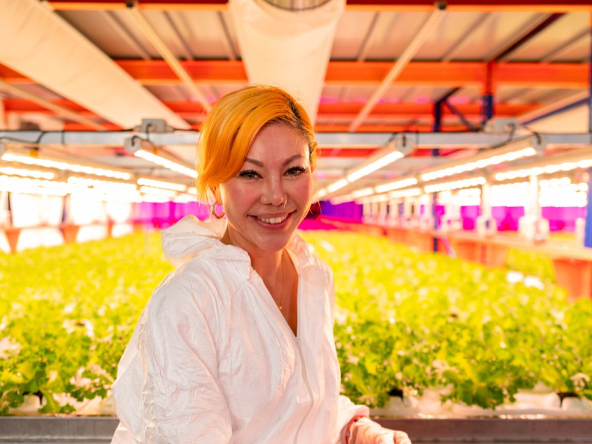 Meet the venture bringing farming indoors in Singapore | Meetings ...