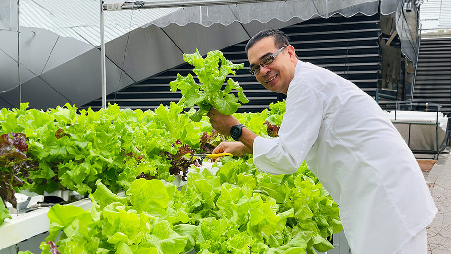 Strategies for smarter events with less food waste | Meetings ...