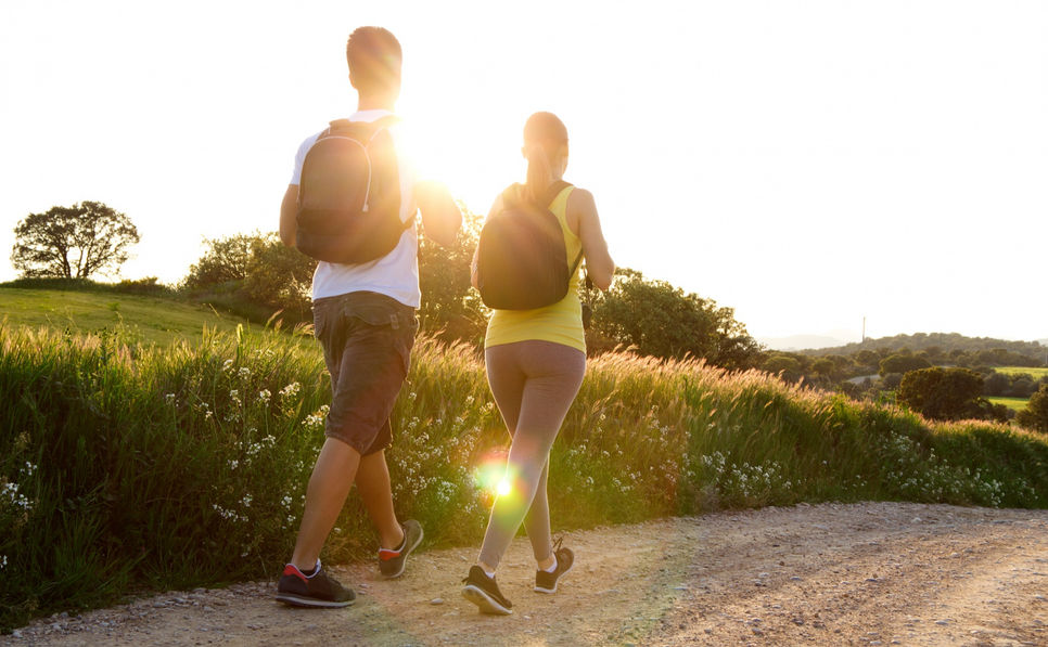 Conferencing in nature: venues promoting the power of walking ...