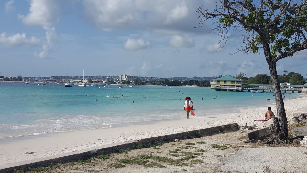 Barbados Updates Traveler Protocols | TravelPulse