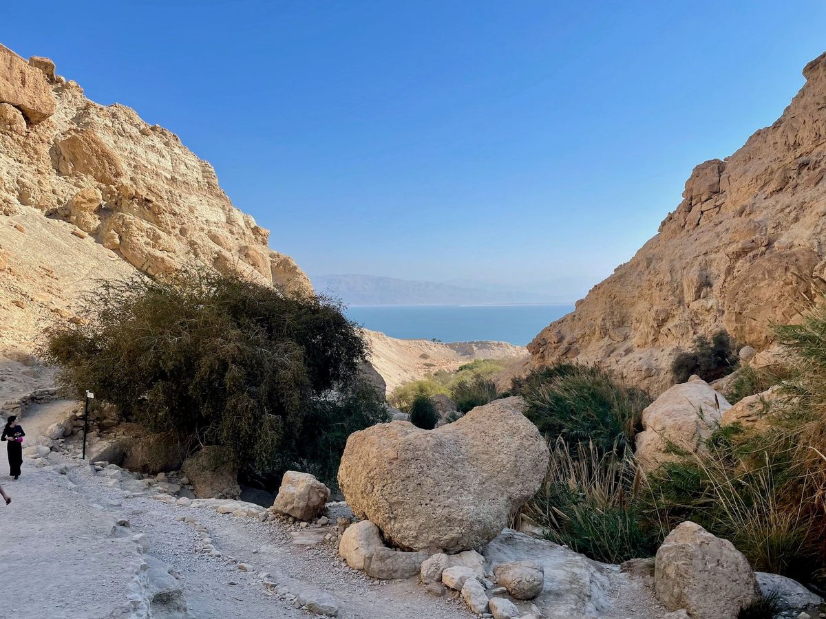 Cool Things To Do In Israel | TravelPulse