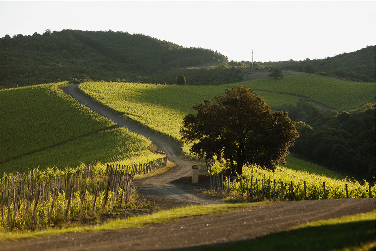 How to Explore Europe’s Diverse Countryside by Bike | TravelPulse