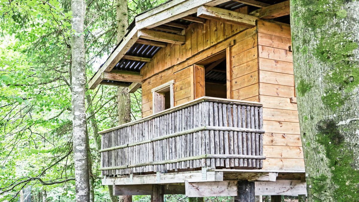 6 Sky-High Treehouse Resorts | TravelPulse Canada