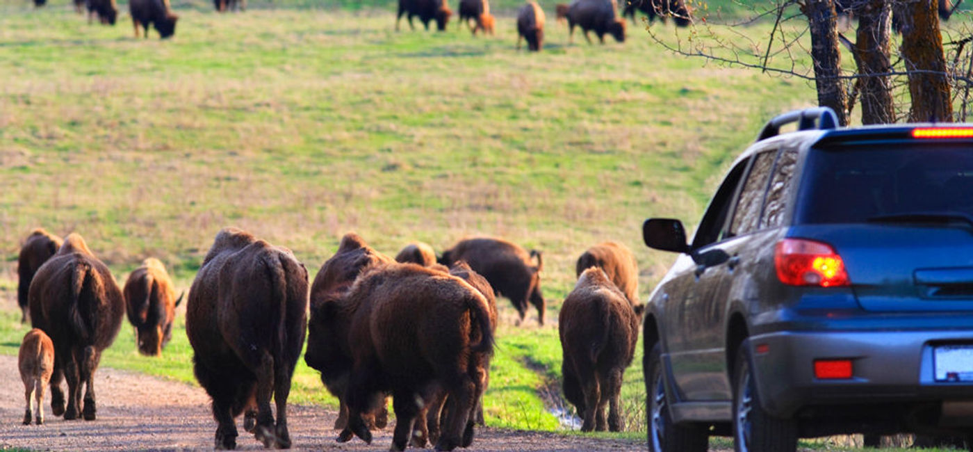 Two Canadian Sites Designated UNESCO Biosphere Reserves | TravelPulse ...