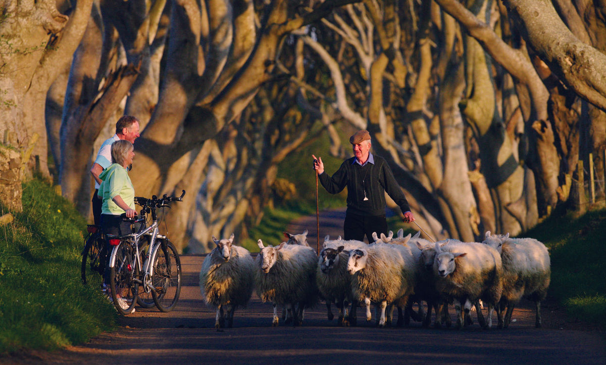 TTC Tour Brands Publishes First 'Big Tour Study' of 7,000 Travelers ...