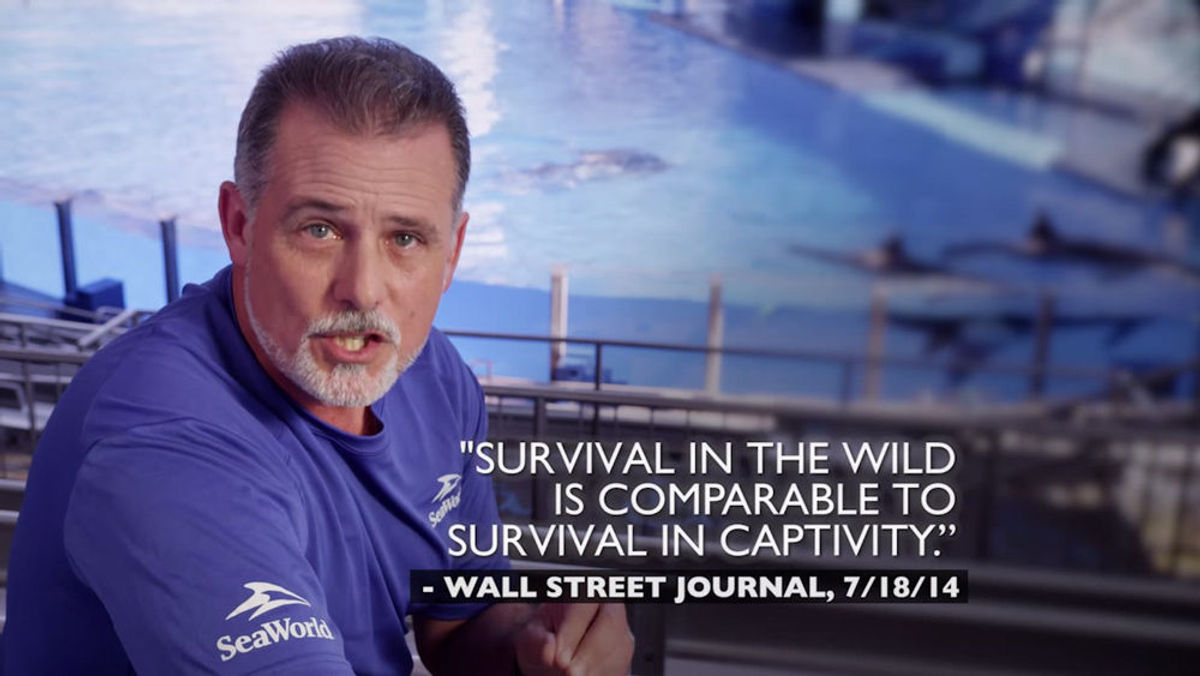 SeaWorld Entertainment Launches National TV Ad Campaign | TravelPulse