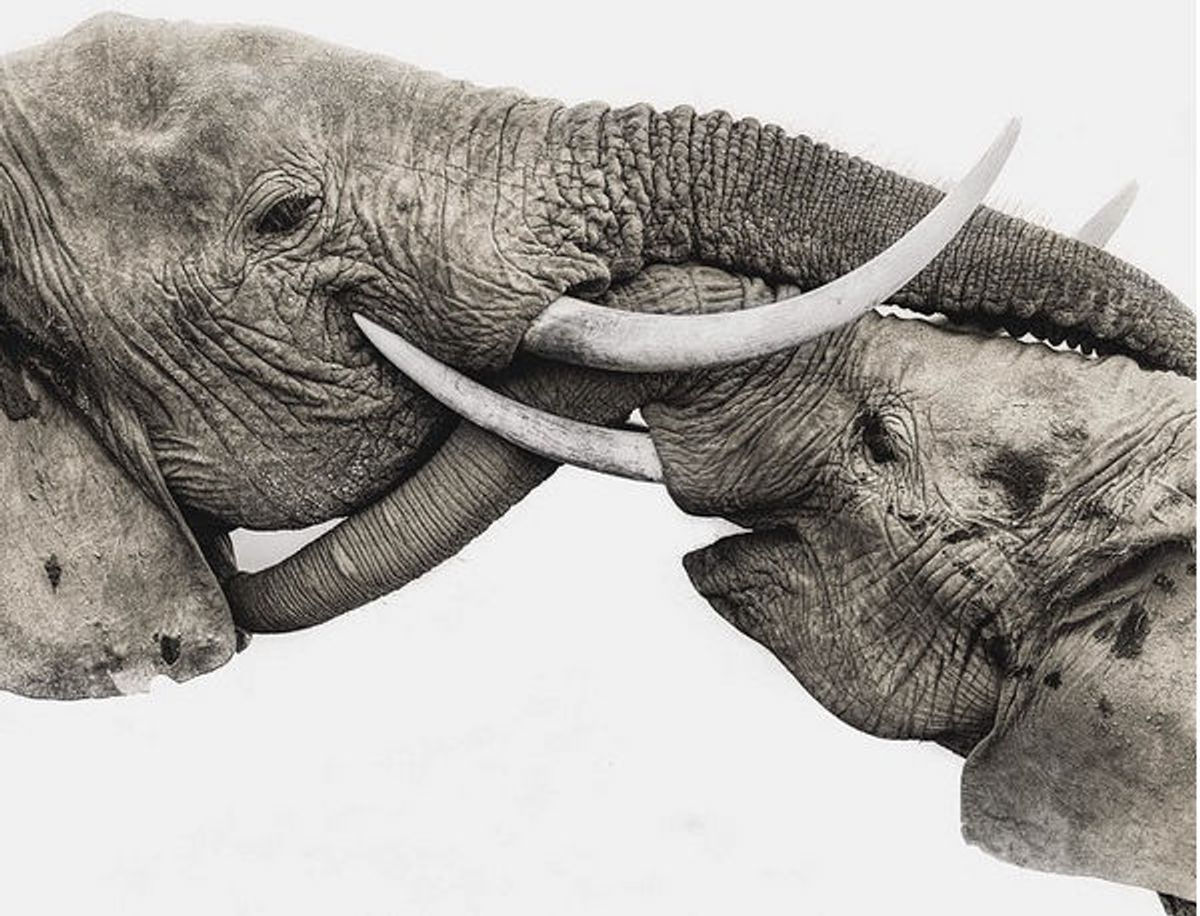 Social Media Spotlight: Finding Beauty With The Insatiable Traveler ...