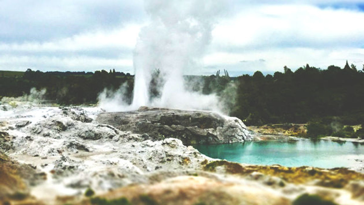 Get Muddy in New Zealand | TravelPulse