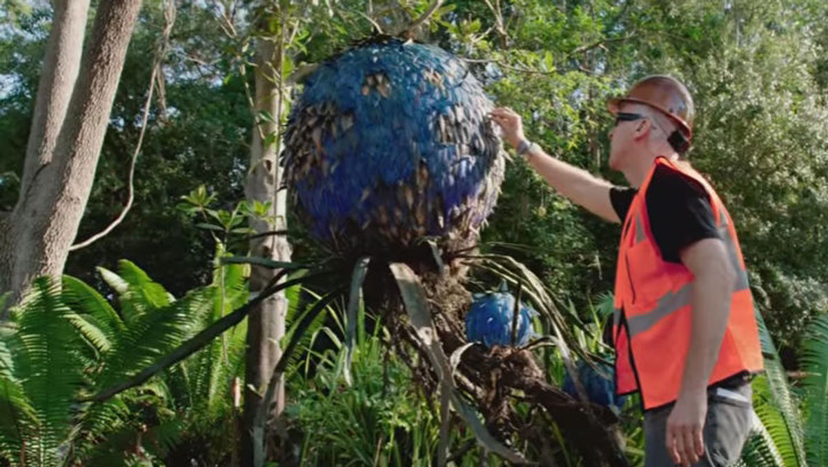 WATCH: Behind the Scenes of Disney's New 'Avatar' Attraction | TravelPulse