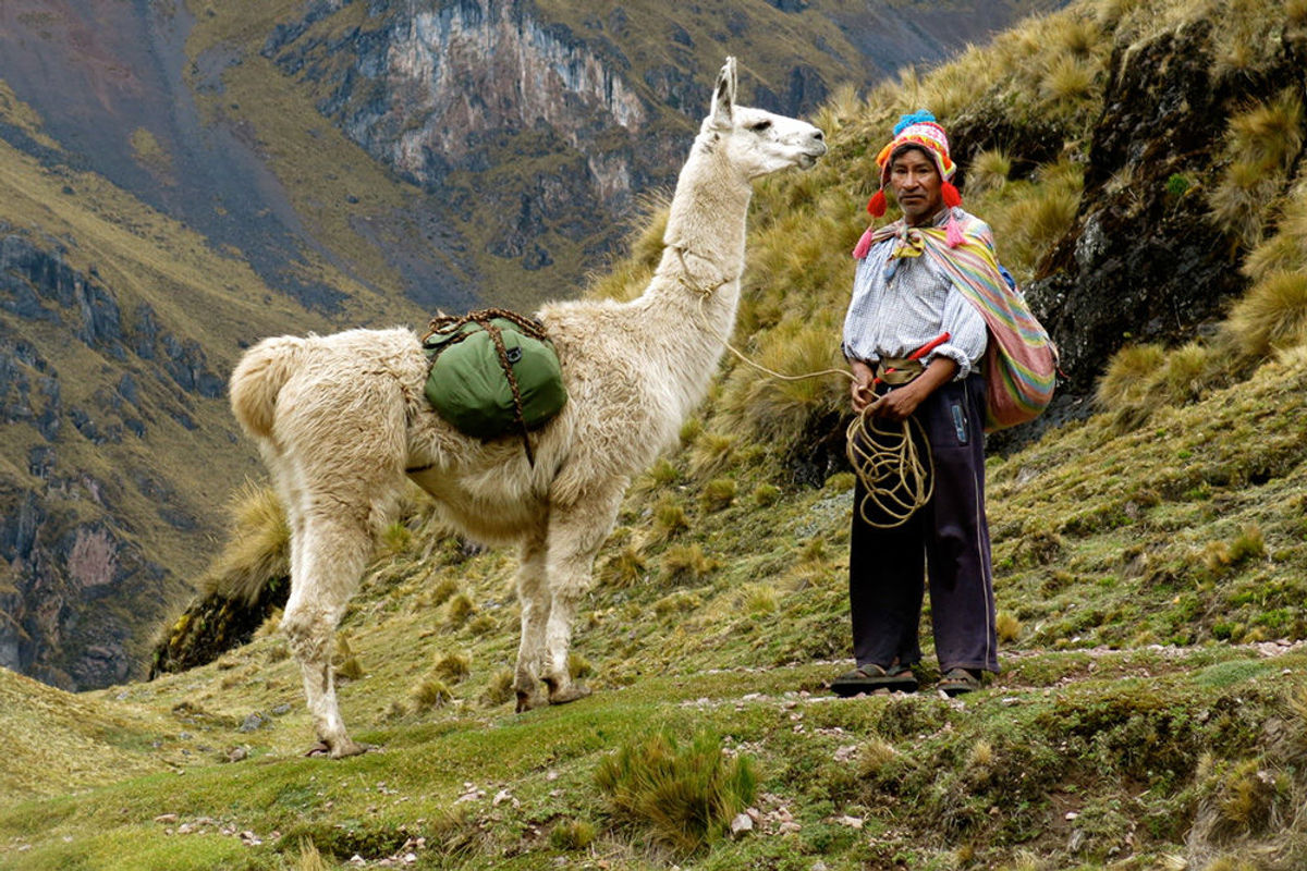 Experience Llama Trekking With Libertador Hotels & Resorts in Peru ...