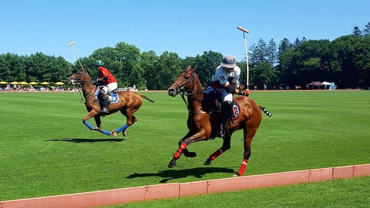 Barbados Partners with US Polo Club | TravelPulse