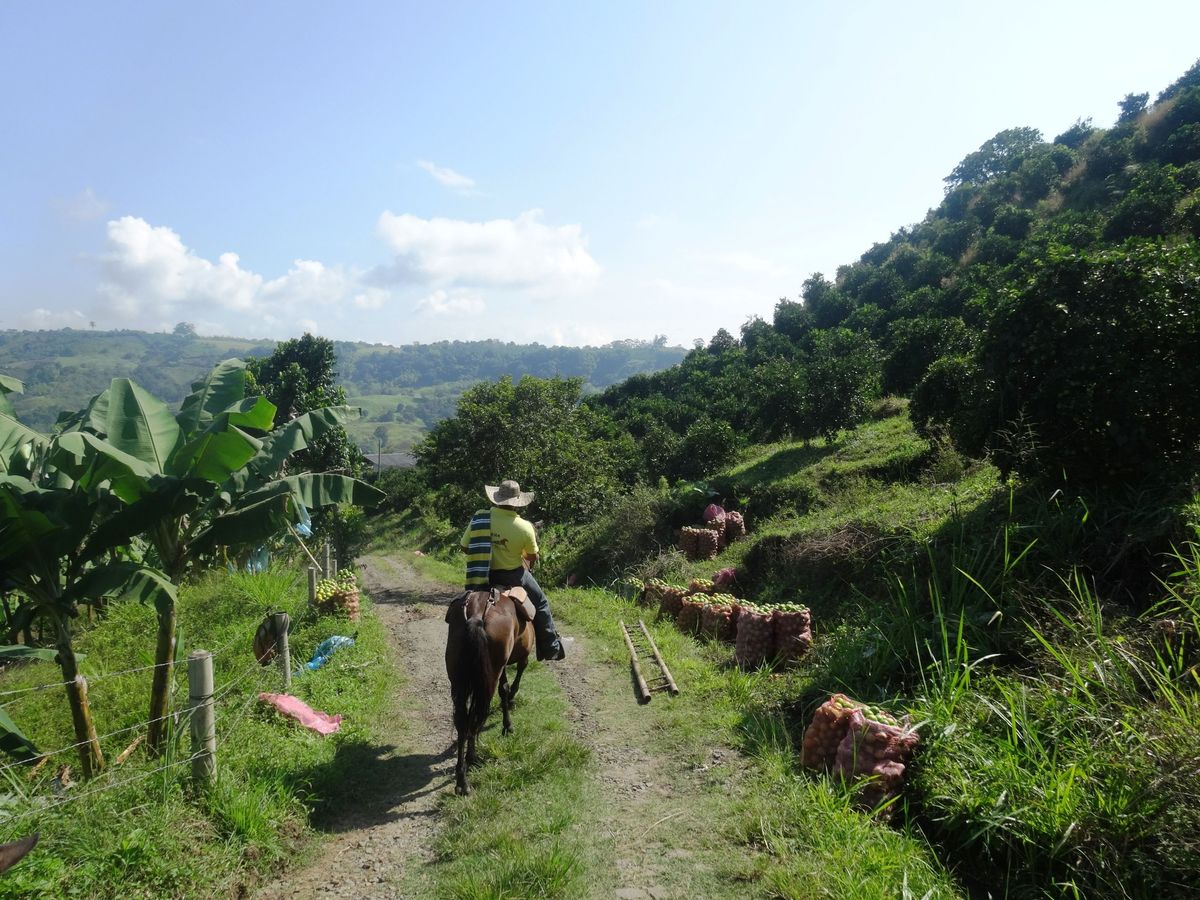 Blue Parallel Offers Luxury Experiences in Latin America and the ...