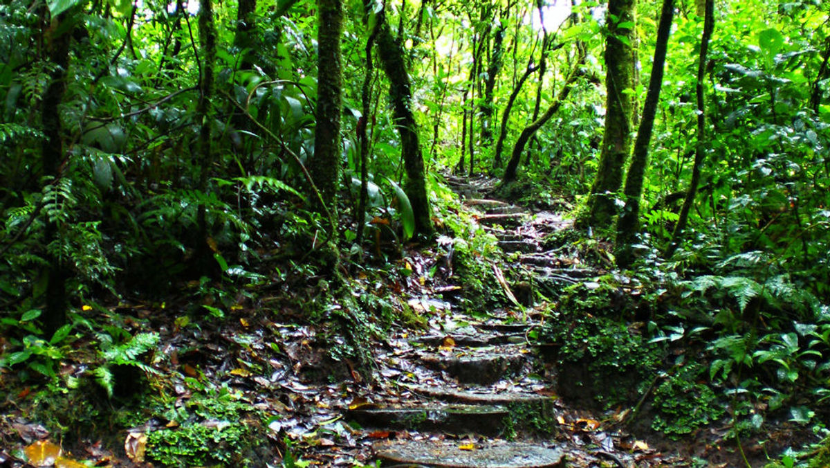 Nomadic Nation: Why Many People are Traveling Solo | TravelPulse