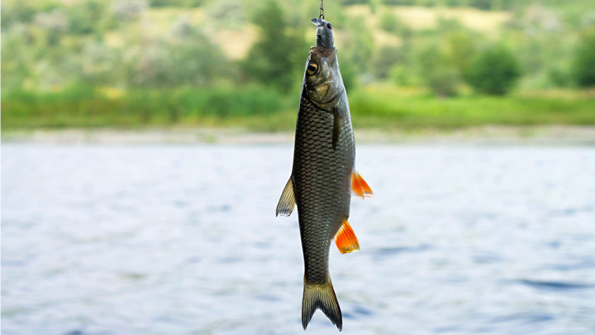 FROSCH Travel Launches New Outdoor Division | TravelPulse