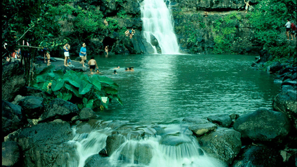 3 Oahu Waterfalls You Can Hike | TravelPulse