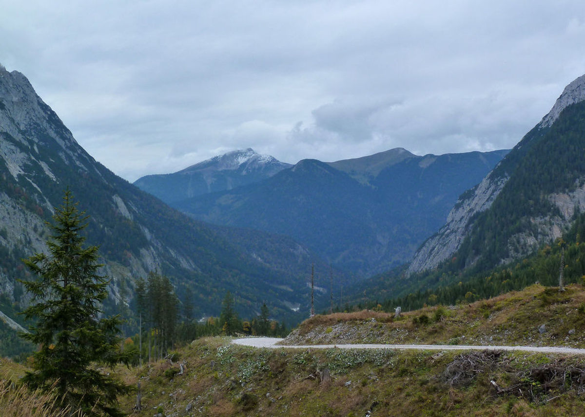French Tourist Saves Bus from Going Over Cliff | TravelPulse