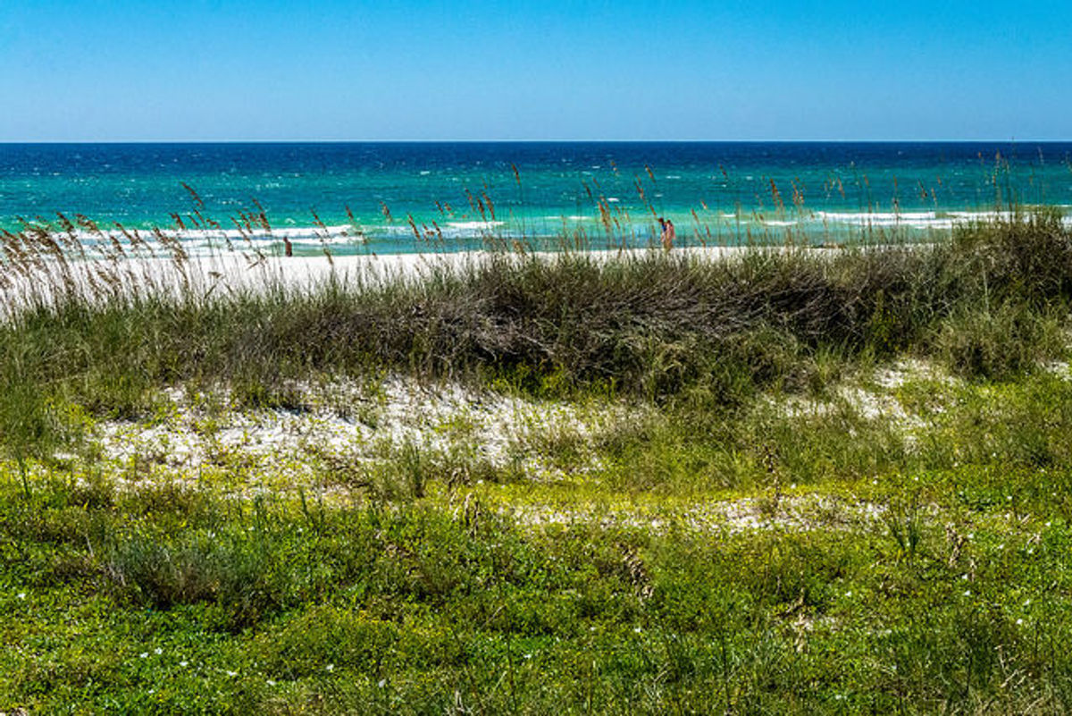 Exploring The Florida Panhandle | TravelPulse