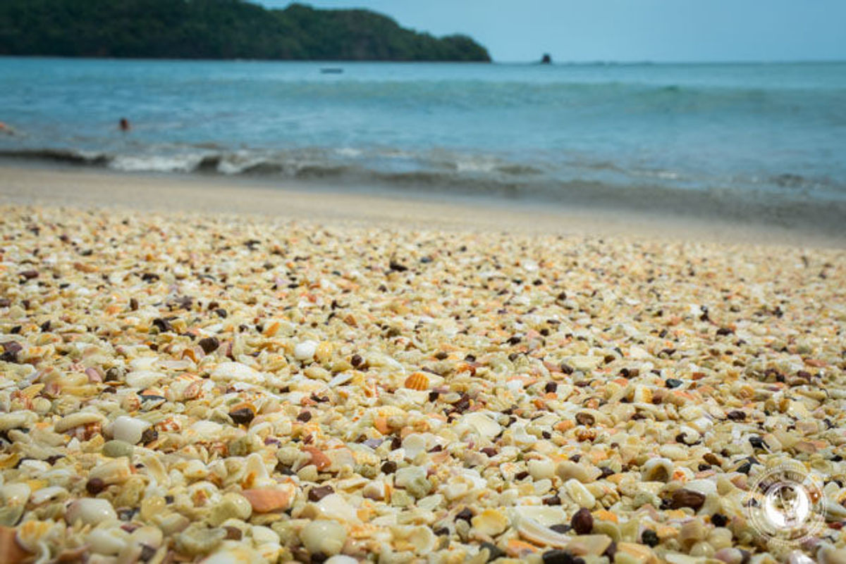 Guancaste, Costa Rica and the Beach of Countless Seashells | TravelPulse