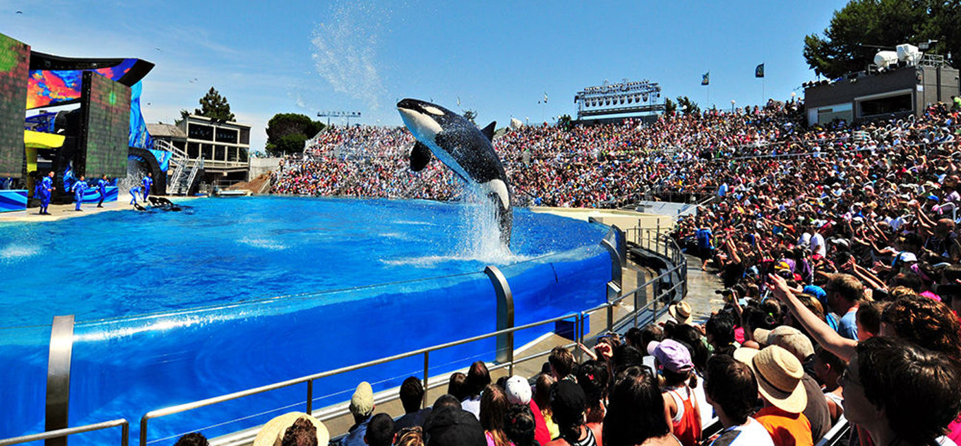SeaWorld Entertainment Appoints Marc Swanson as Interim CFO | TravelPulse