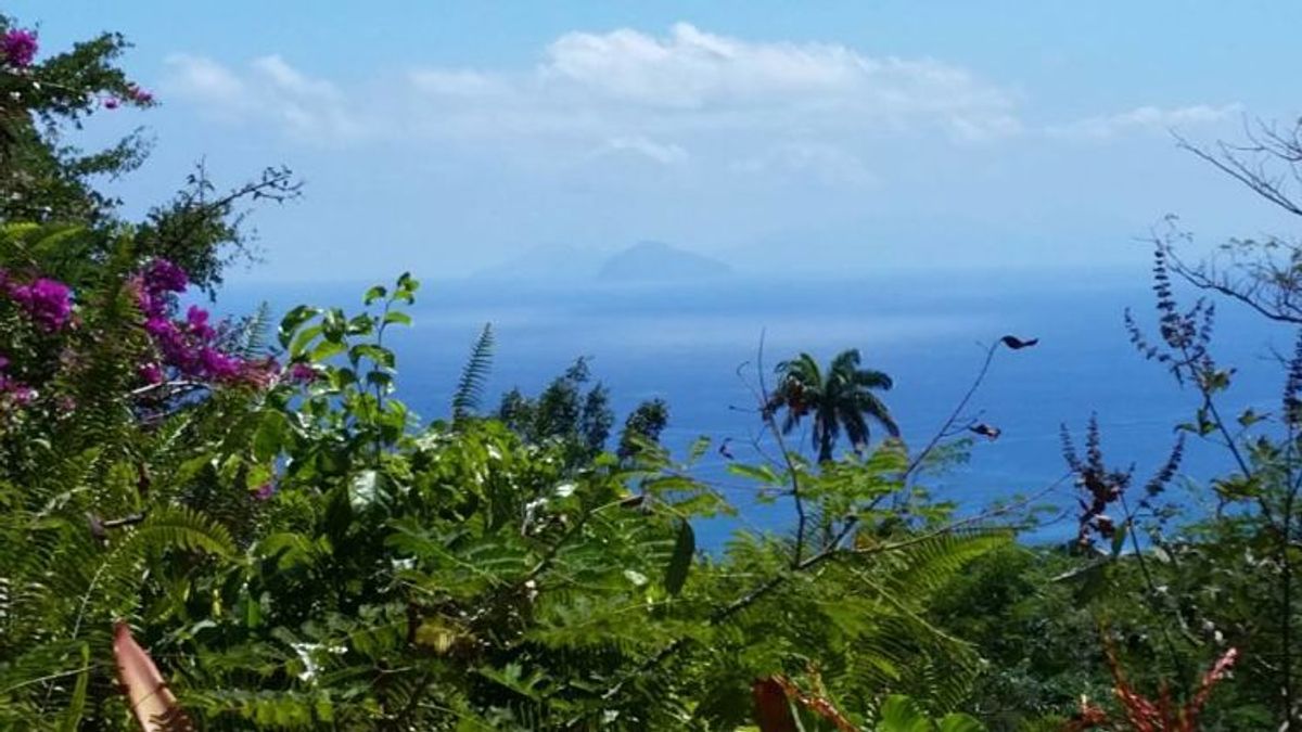 10 Must-Try Activities on the Unique Island of Nevis | TravelPulse