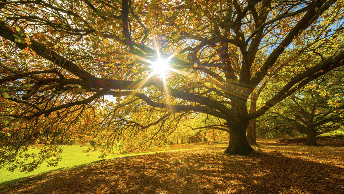 5 Top Leaf Peeper Destinations | TravelPulse Canada