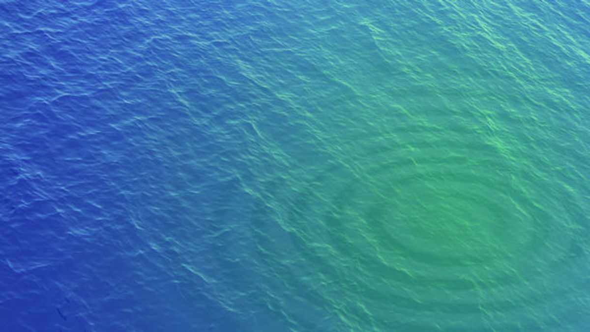 Malaysia Air 370 Update: Renewed Hope as Ships Relocate Signals ...