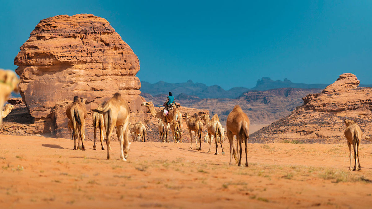 Why Saudi Arabia Is Your Next Adventure Travel Destination | TravelPulse