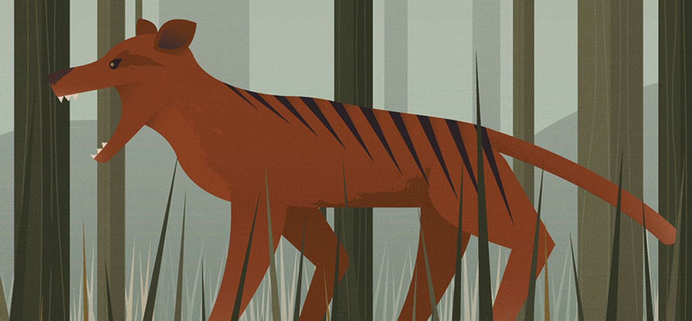 Expedia Unveils Travel Posters To Celebrate Nearly Forgotten Wildlife ...
