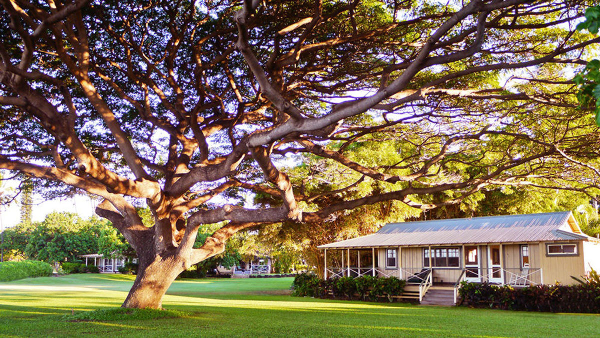 Solitude and Reflection at Waimea Plantation Cottages | TravelPulse