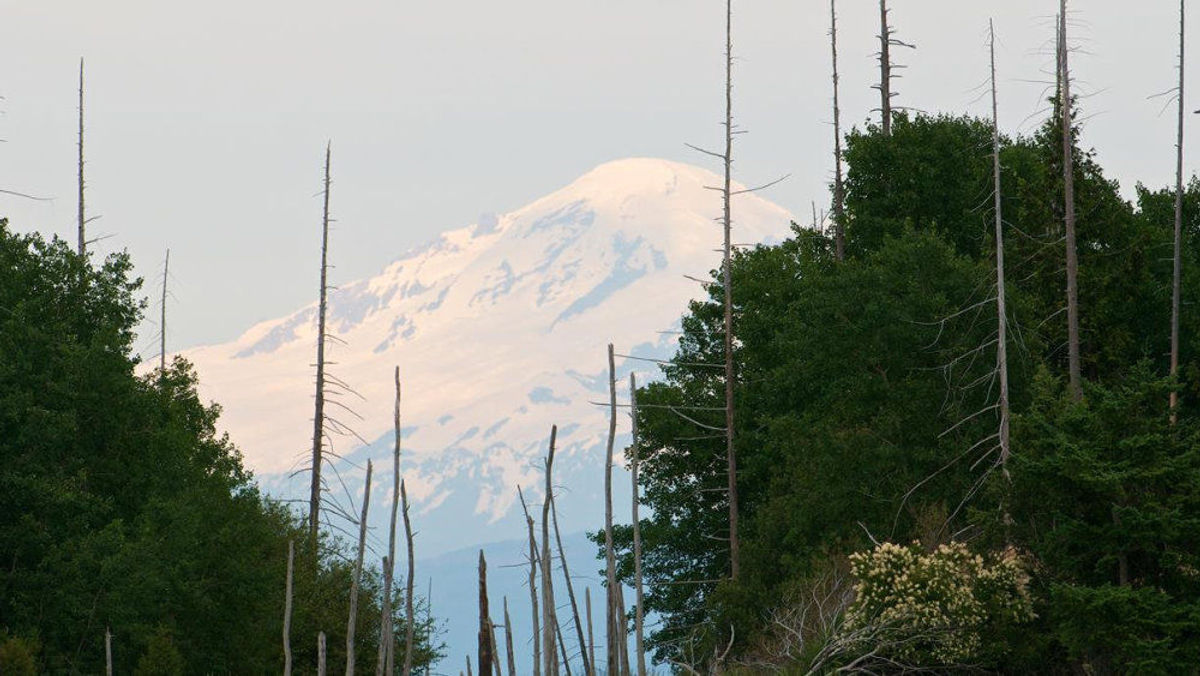Explore the Gulf Islands with Outer Shores Expeditions | TravelPulse Canada