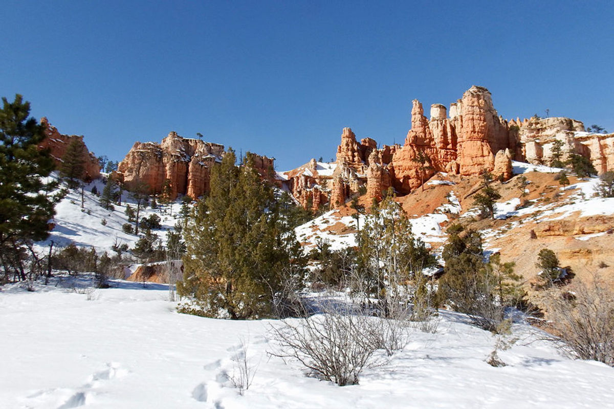 Discover Winter in the National Parks | TravelPulse