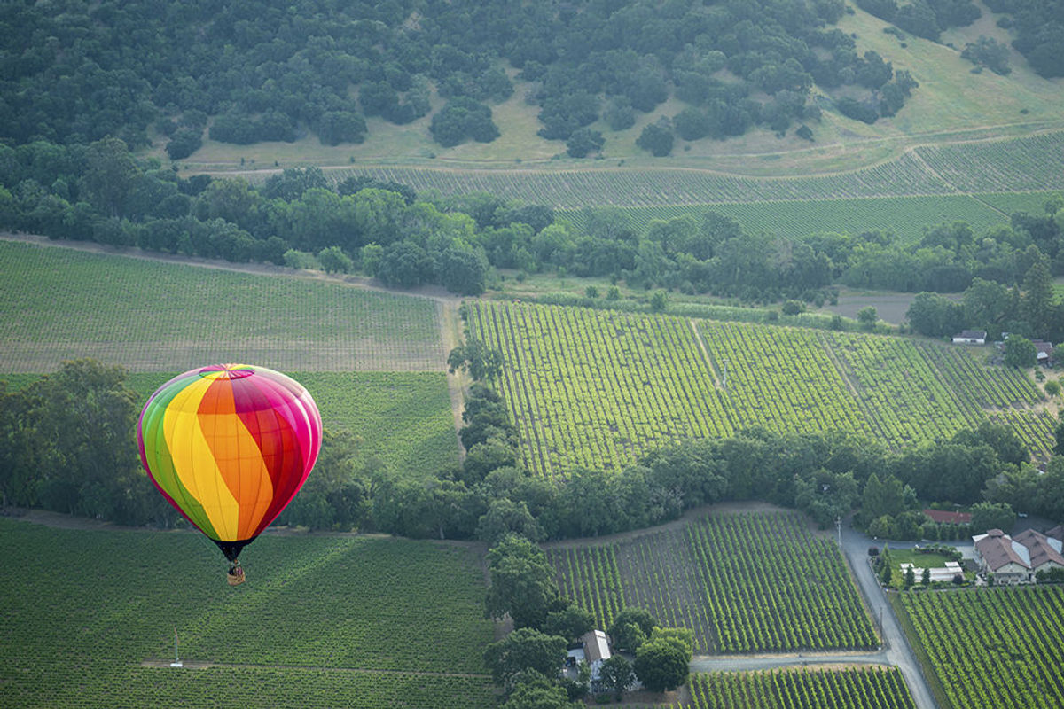 The World's Best Hot Air Balloon Rides | TravelPulse