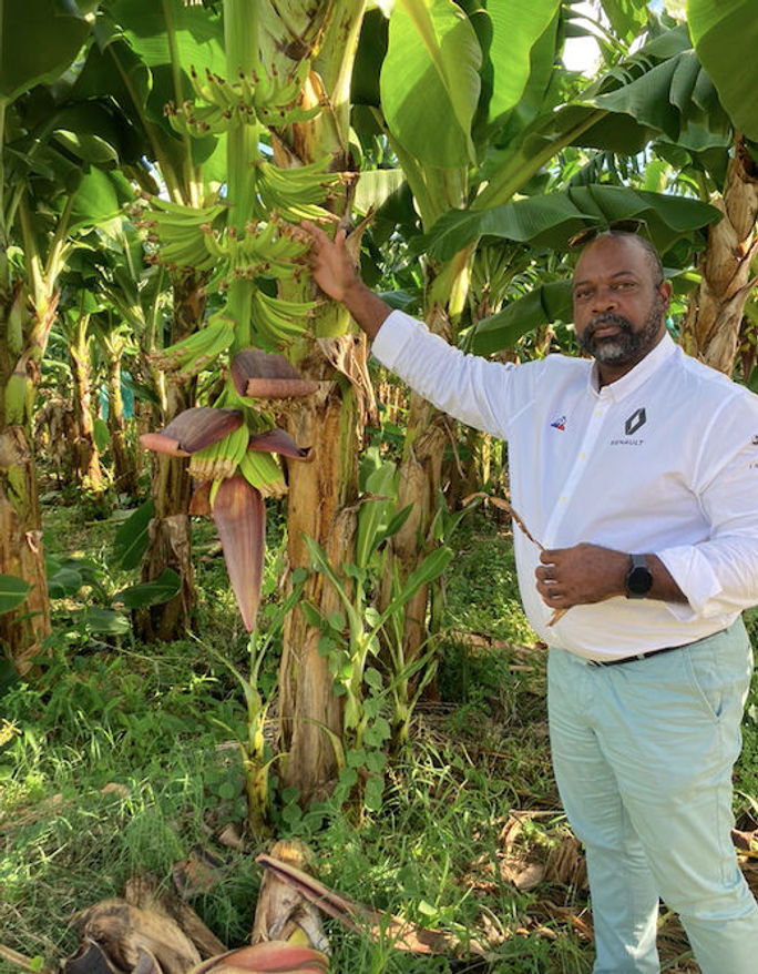 TravelPulse Canada à destination: Jour 1 en Martinique | TravelPulse Quebec