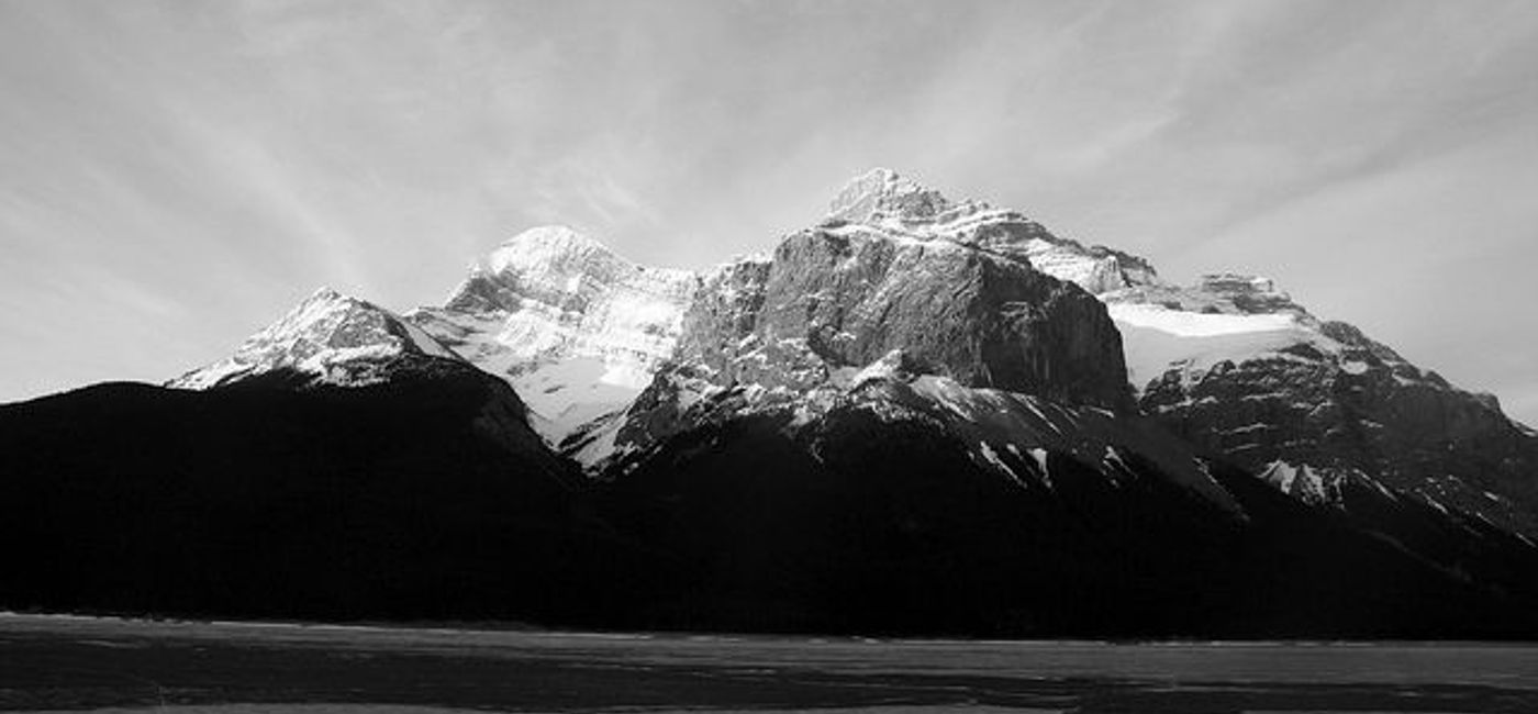 Banff Bison Are Back After 100 Years | TravelPulse