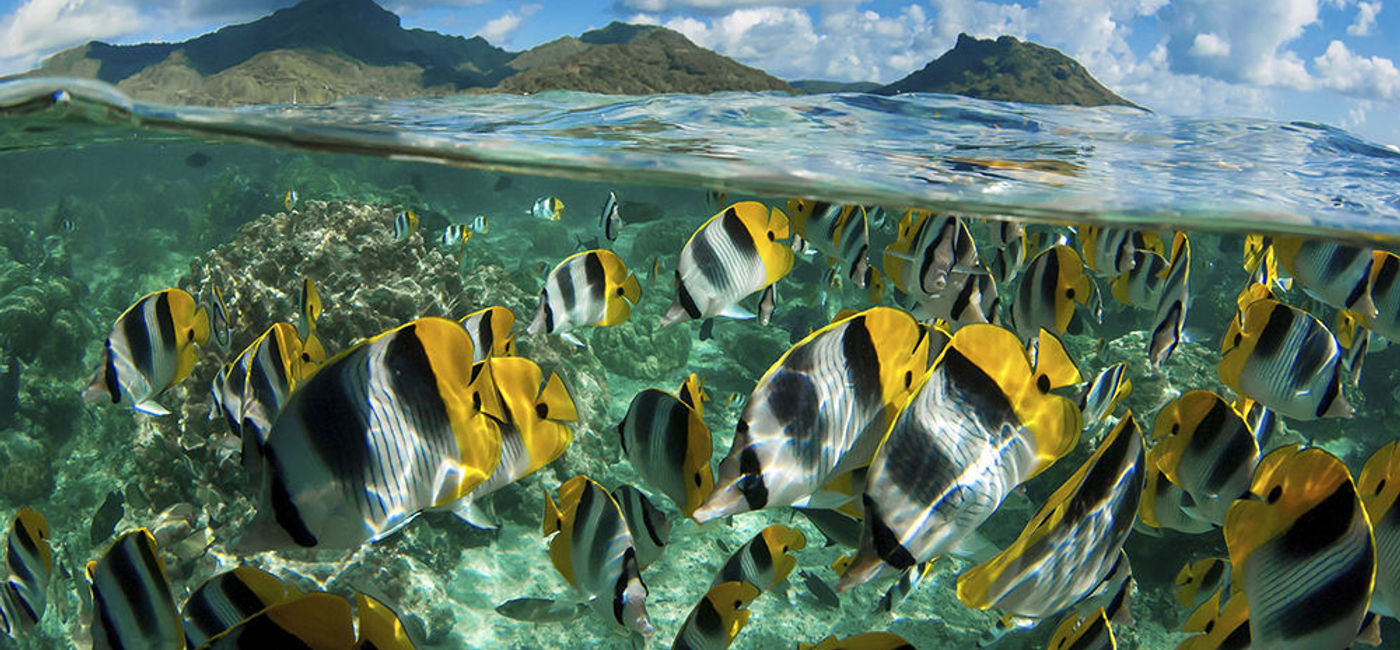 Tahiti Lauded By T+L as 'World's Best' | TravelPulse