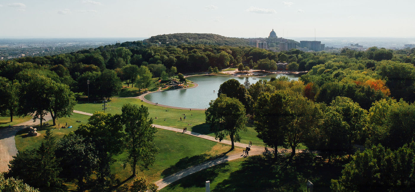 What's New in Montréal? | TravelPulse