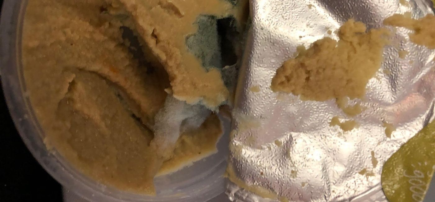 Passenger Finds Mold in Food Purchased on United Airlines Flight ...