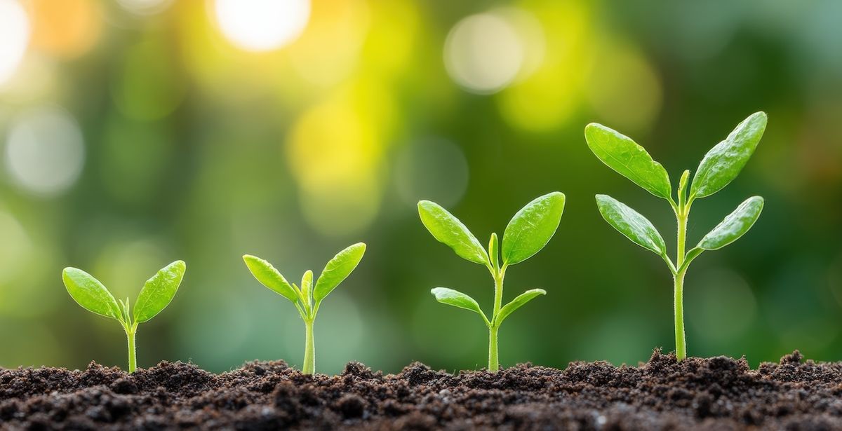 An Inside Look at Maritz's Sustainability Journey | Northstar Meetings Group