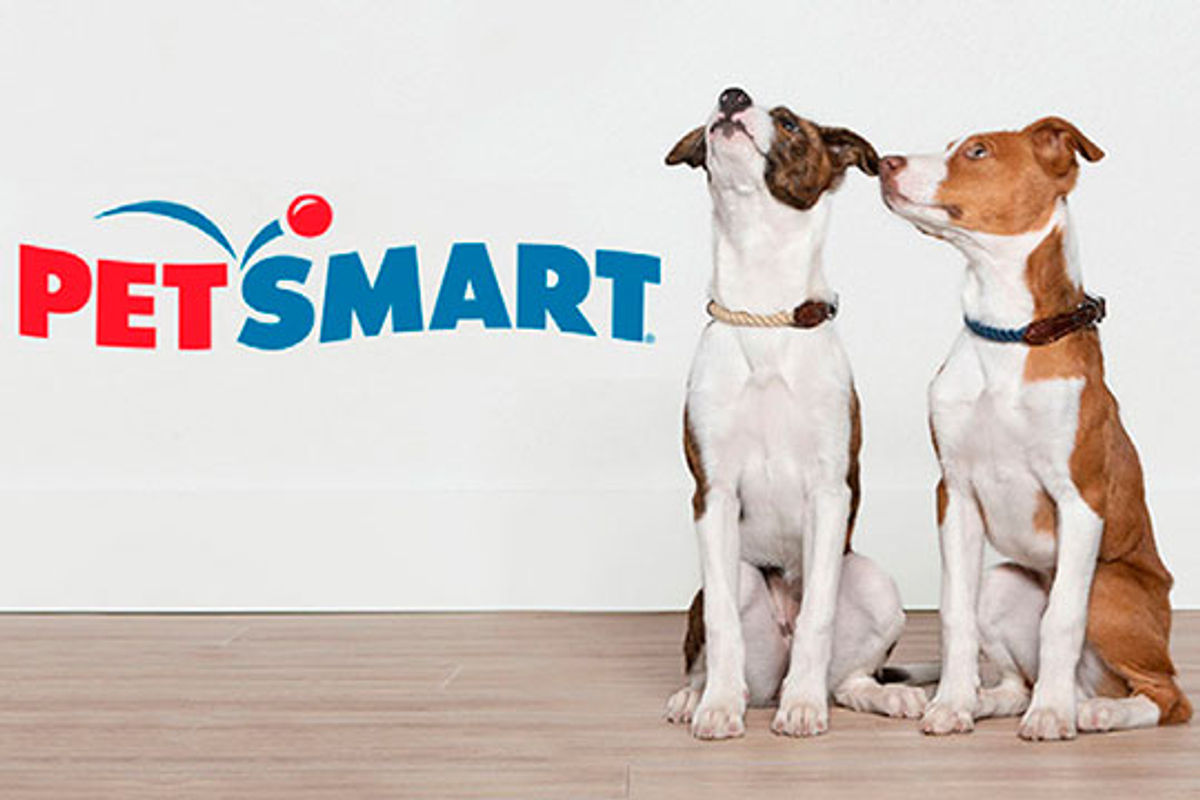 PetSmart Helps You Show Gratitude to Staff & Pets | Northstar Meetings ...