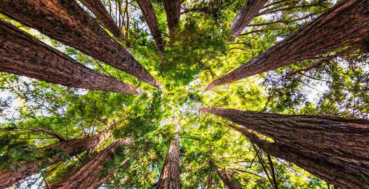 Why California Is Ideal for Sustainable Meetings and Events | Northstar ...