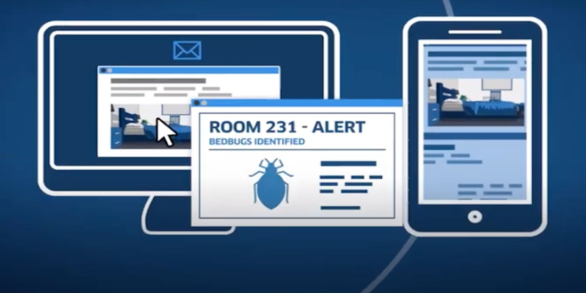 Spotta nets $1.2M to bring its hotel pest control tech to new markets ...