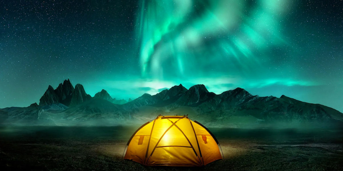 Holibob boosts tours distribution tech with acquisition of ...