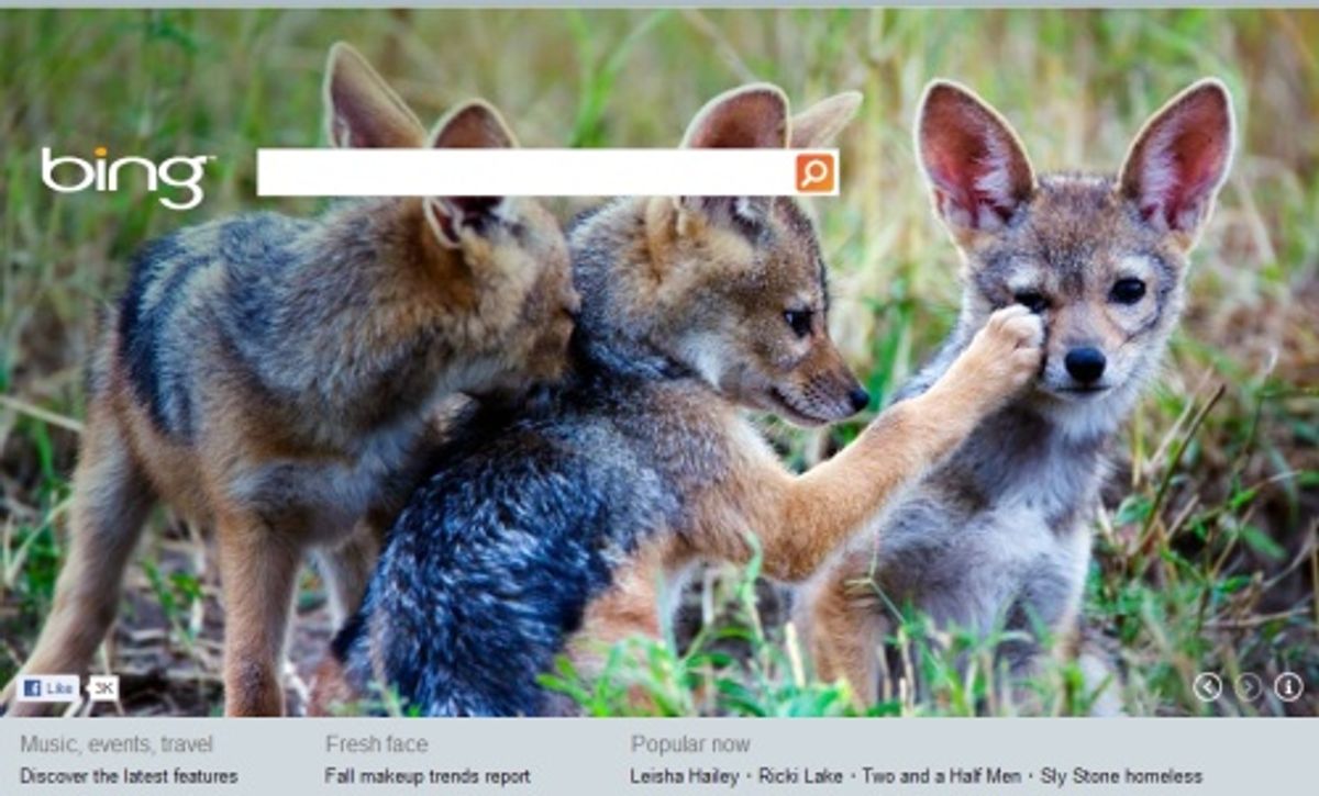 Microsoft mulls Bing Decision Engine decision and does anyone remember ...