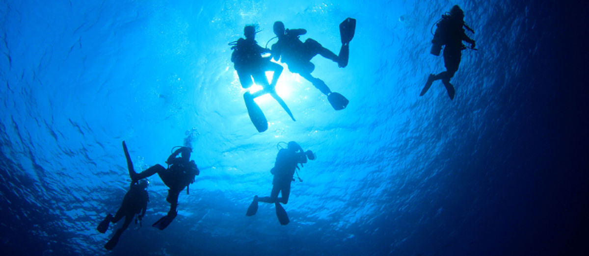 A deep dive into digital transformation and innovation | PhocusWire