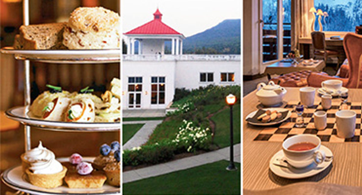 High Tea at Meetings | Successful Meetings