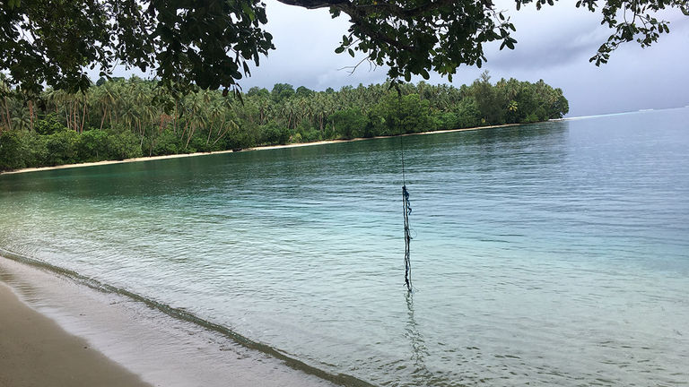 What to Know Before Traveling to the Solomon Islands | TravelAge West