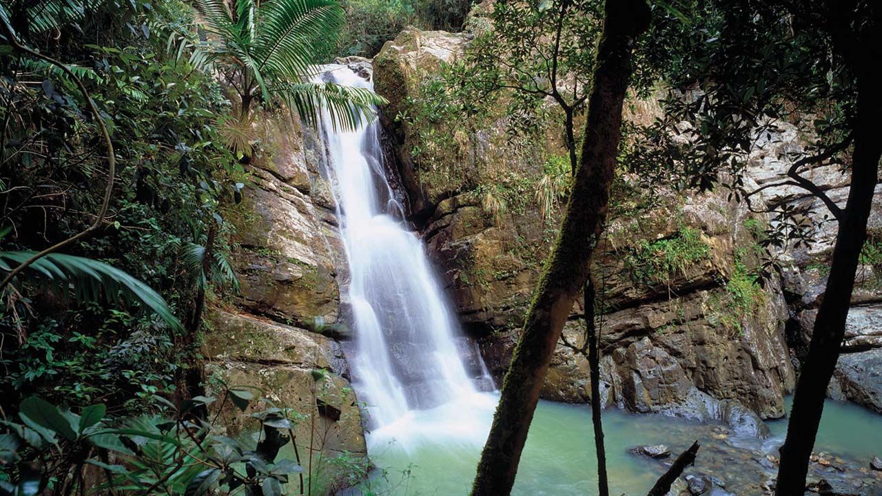 6 of the Top Stunning Waterfalls in the Caribbean | TravelAge West